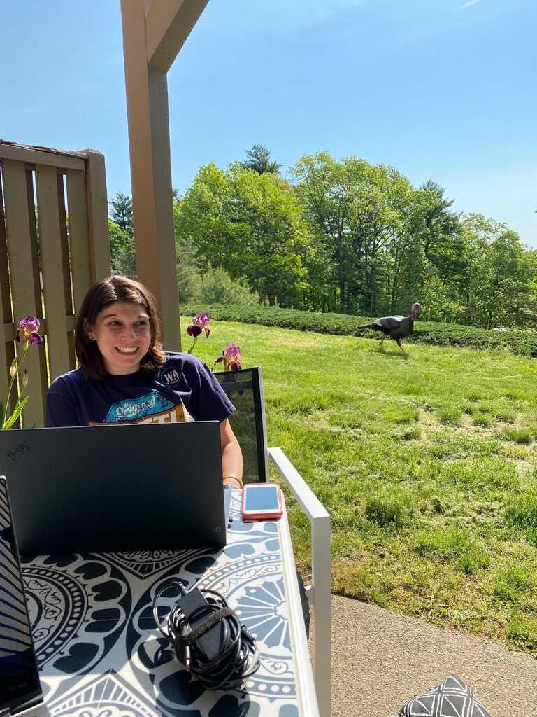 turkey – The Hare on the Chair