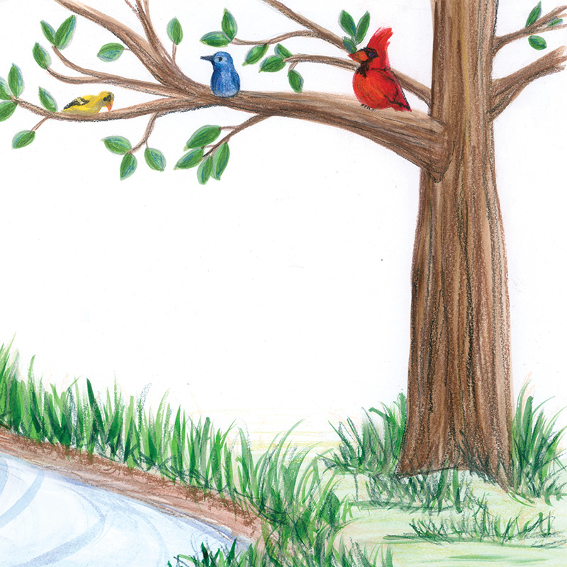 Hare on the Chair Illustrator – The Hare on the Chair