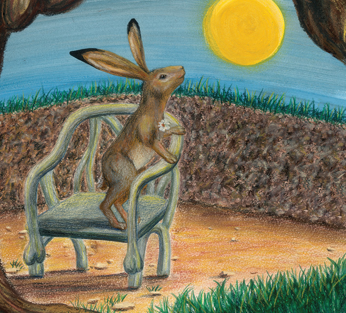Share Your Adventures – The Hare on the Chair